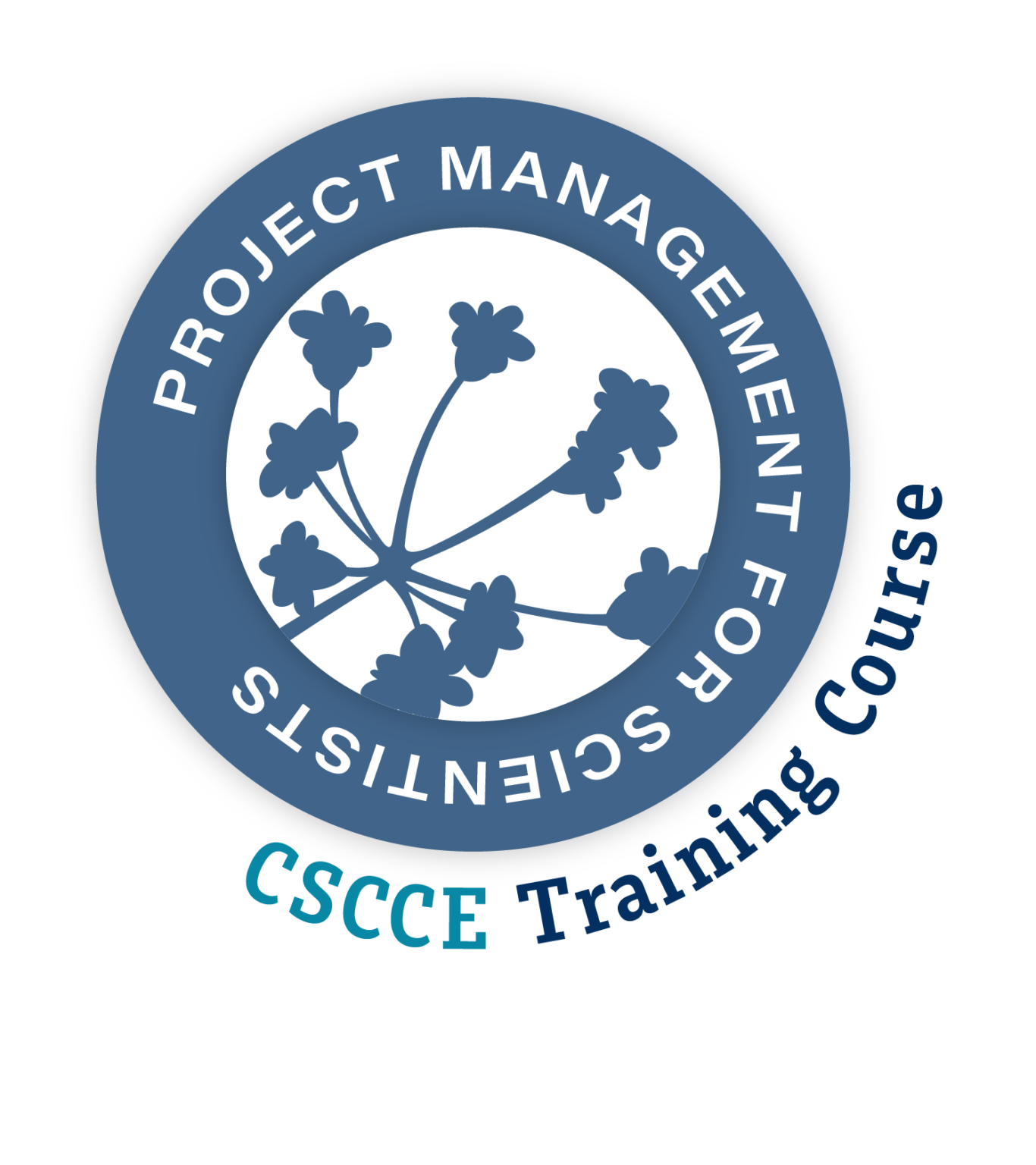 Center for Scientific Collaboration and Community Engagement - CSCCE